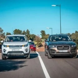 Guide to blue slips | Finder